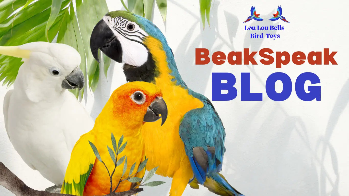 What is the Crusty Growth on the Side of My Bird’s Beak? - Lou Lou ...