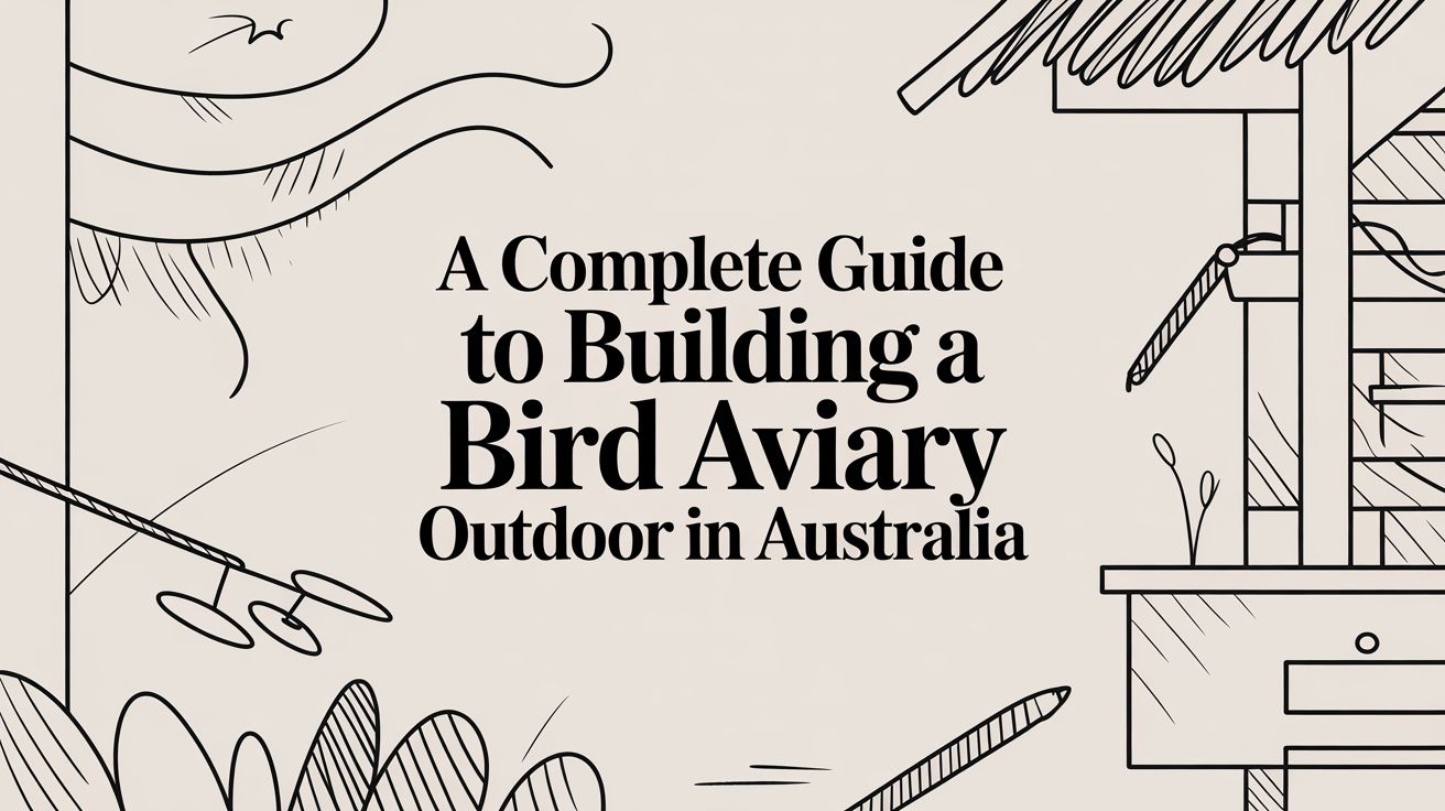 A Complete Guide to Building a Bird Aviary Outdoor in Australia – Lou ...