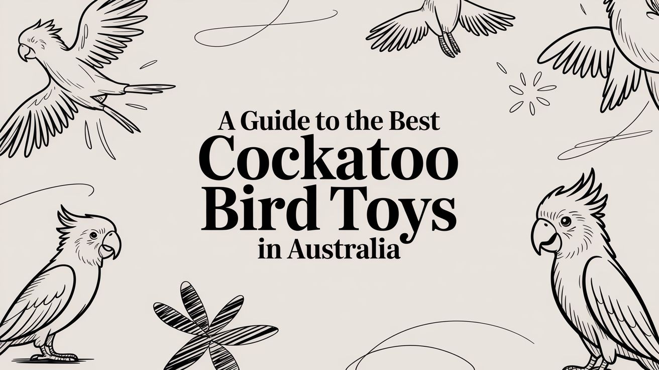 A Guide to the Best Cockatoo Bird Toys in Australia – Lou Lou Bells ...