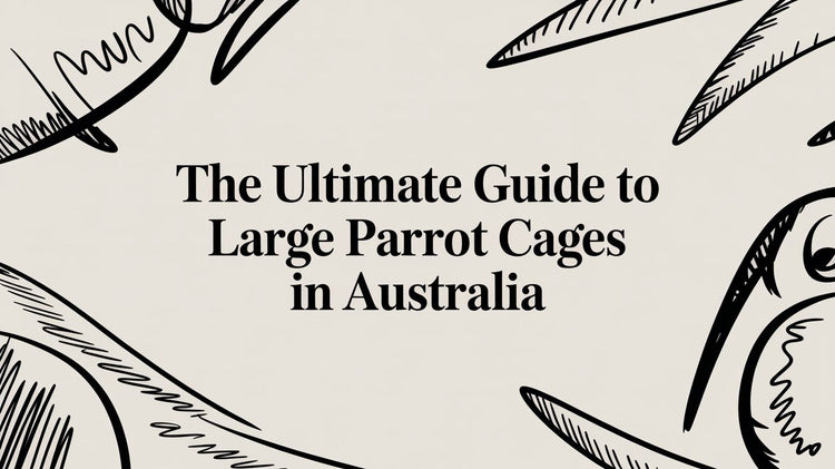 The Ultimate Guide to Large Parrot Cages in Australia – Lou Lou Bells ...