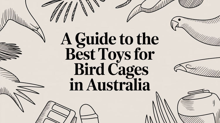 A Guide to the Best Toys for Bird Cages in Australia – Lou Lou Bells ...