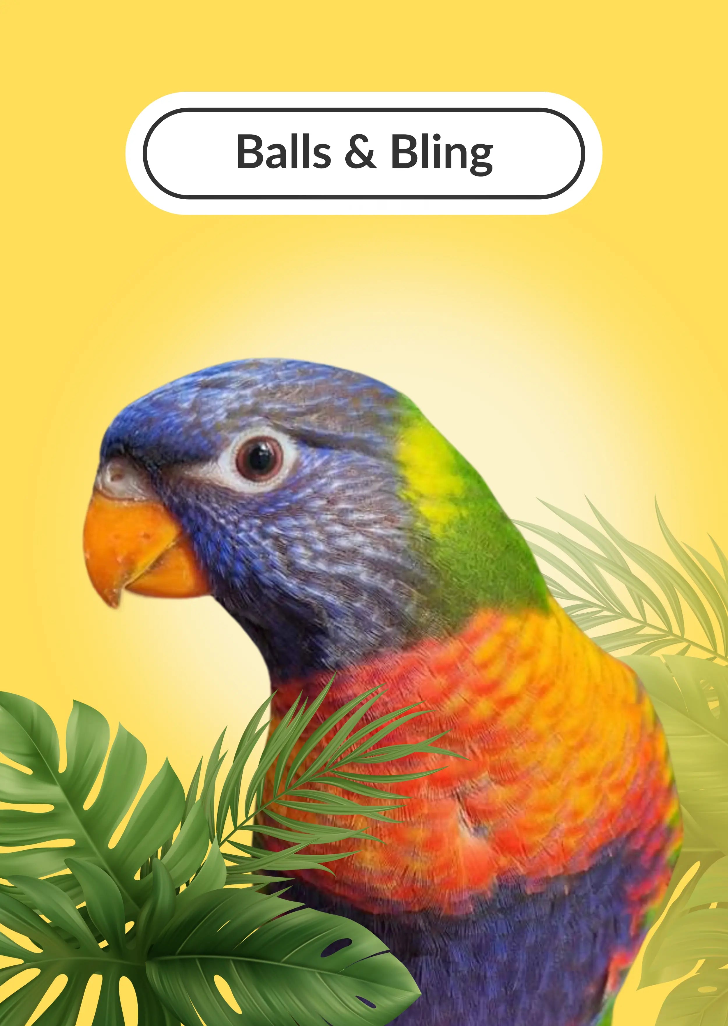 Parrot Squawking – Causes, Solutions & Tips for a Calmer Bird – Lou Lou ...