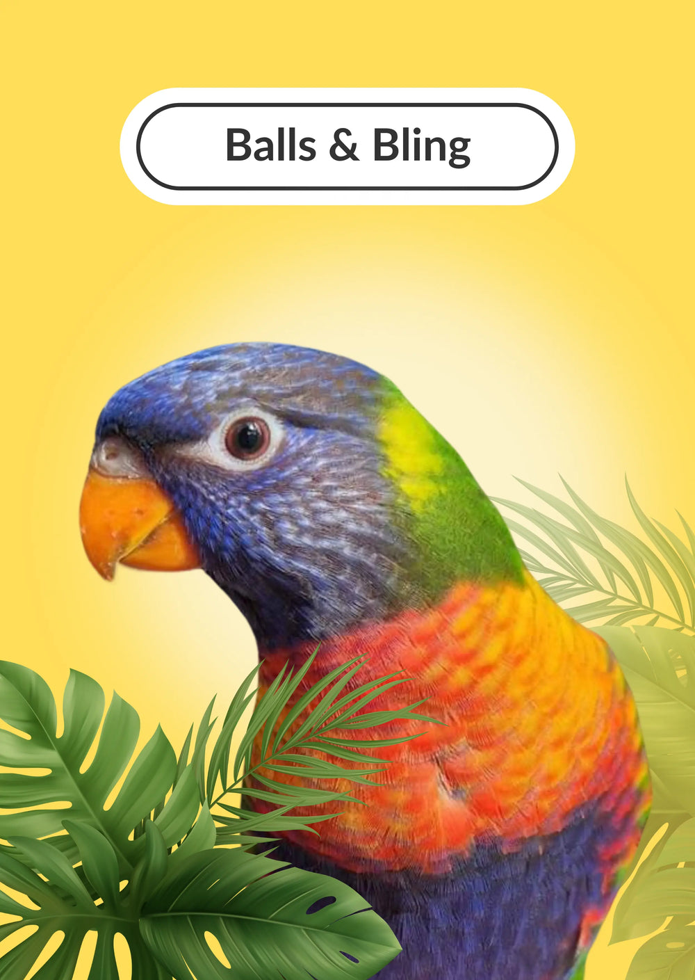 Your Guide to the Perfect Bird Flight Cage – Lou Lou Bells Bird Toys