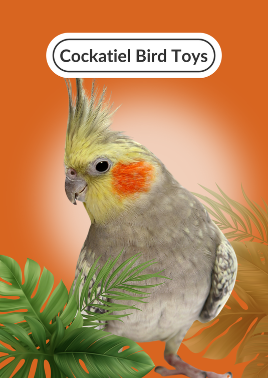Bird Toys, Budgie Toys, Parrot Toys. Lou Lou Bells Bird Toys Australia