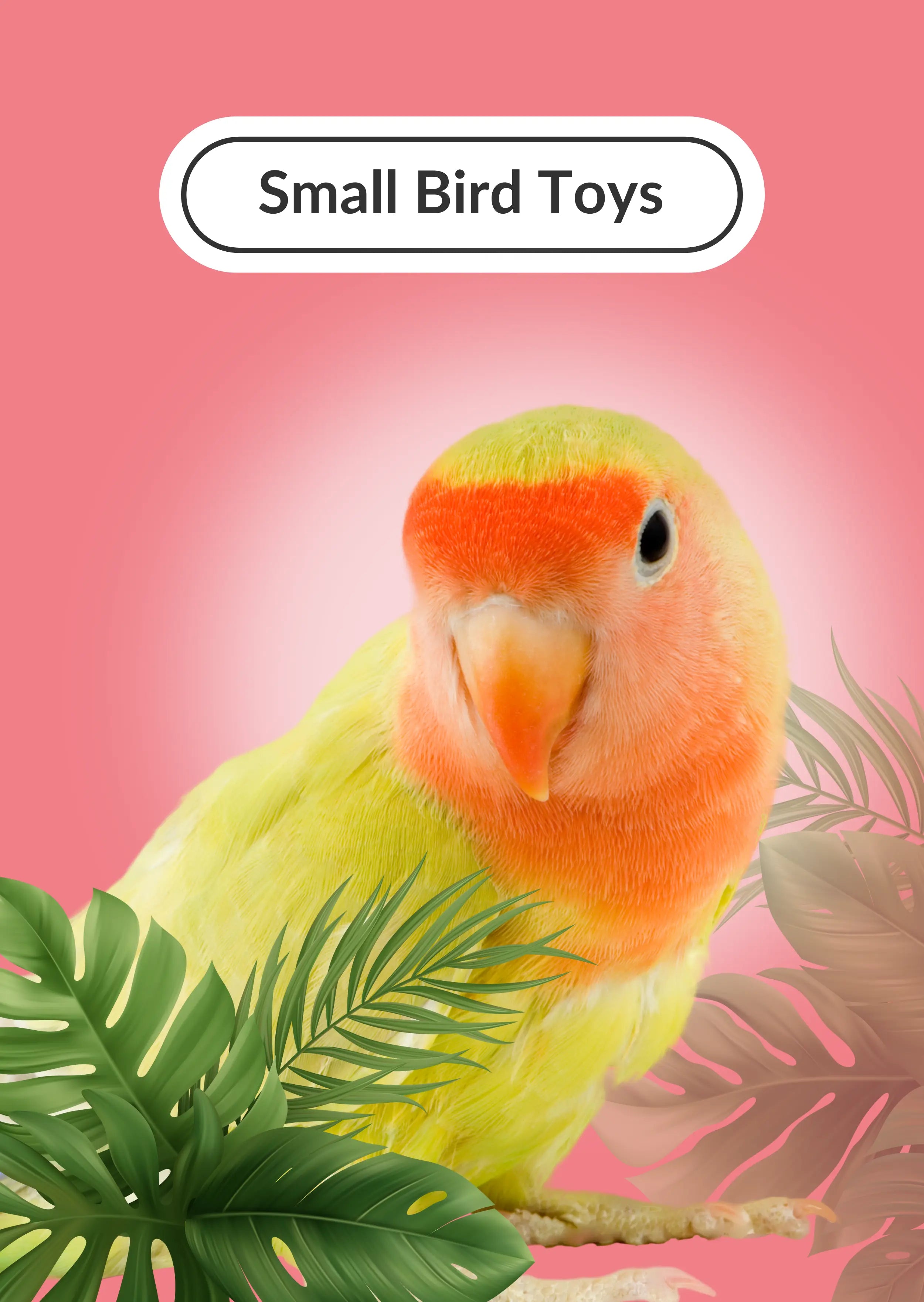 Bird Toys, Budgie Toys, Parrot Toys. Lou Lou Bells Bird Toys Australia
