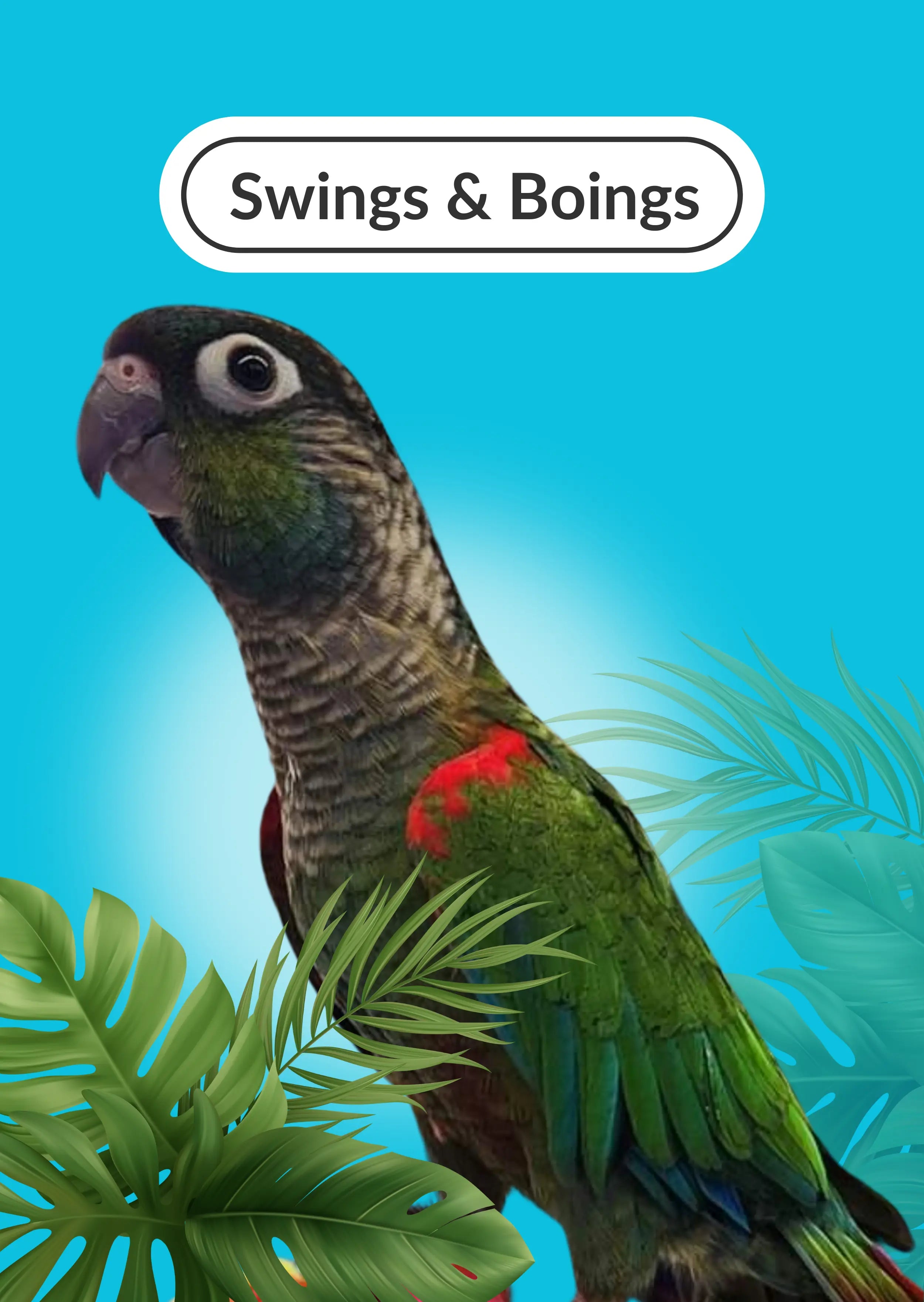 Swings & Boings - Lou Lou Bells Bird Toys